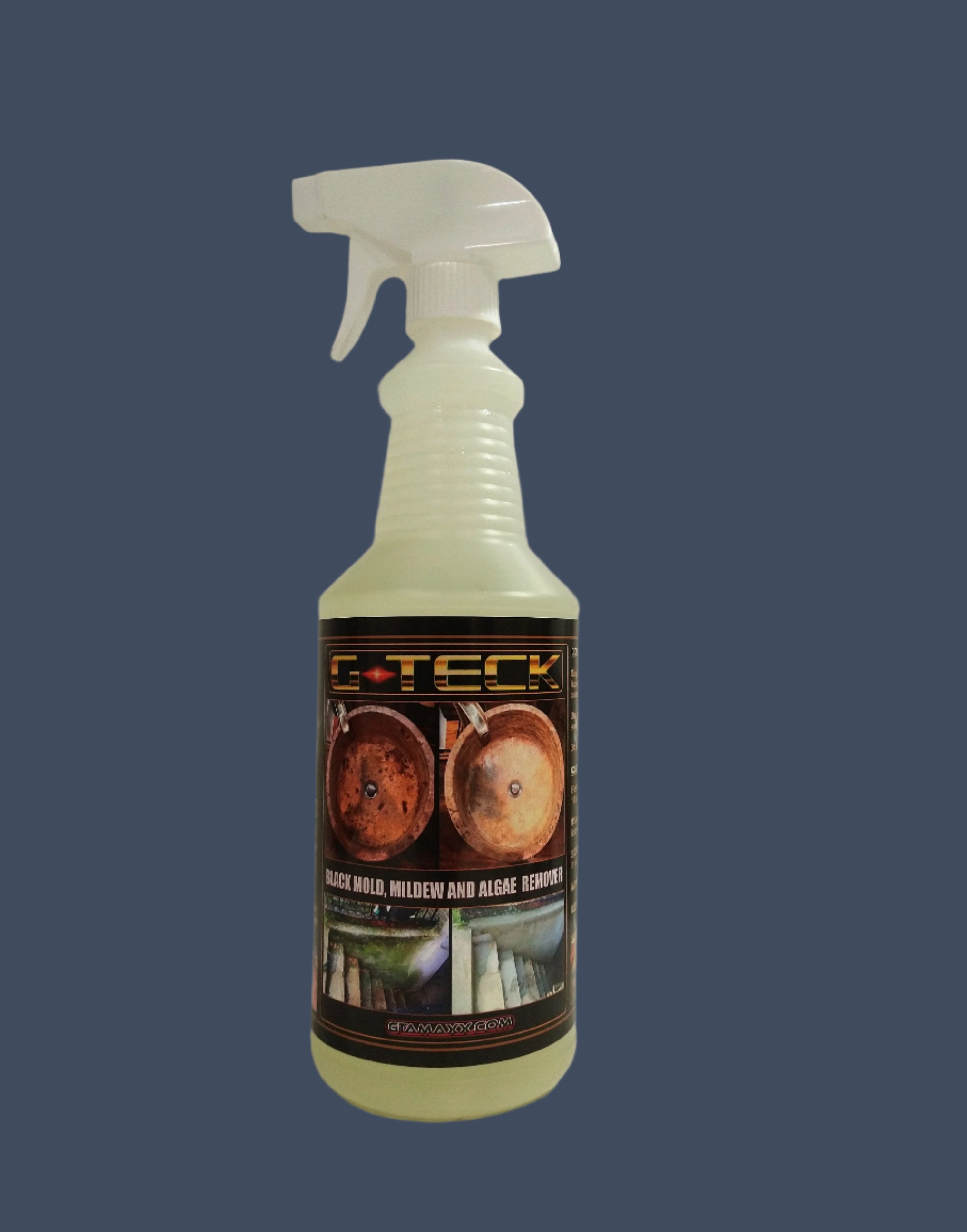 Mold, Algae, Mildew, and fungi remover 3/32 Spray bottles – G Teck Max
